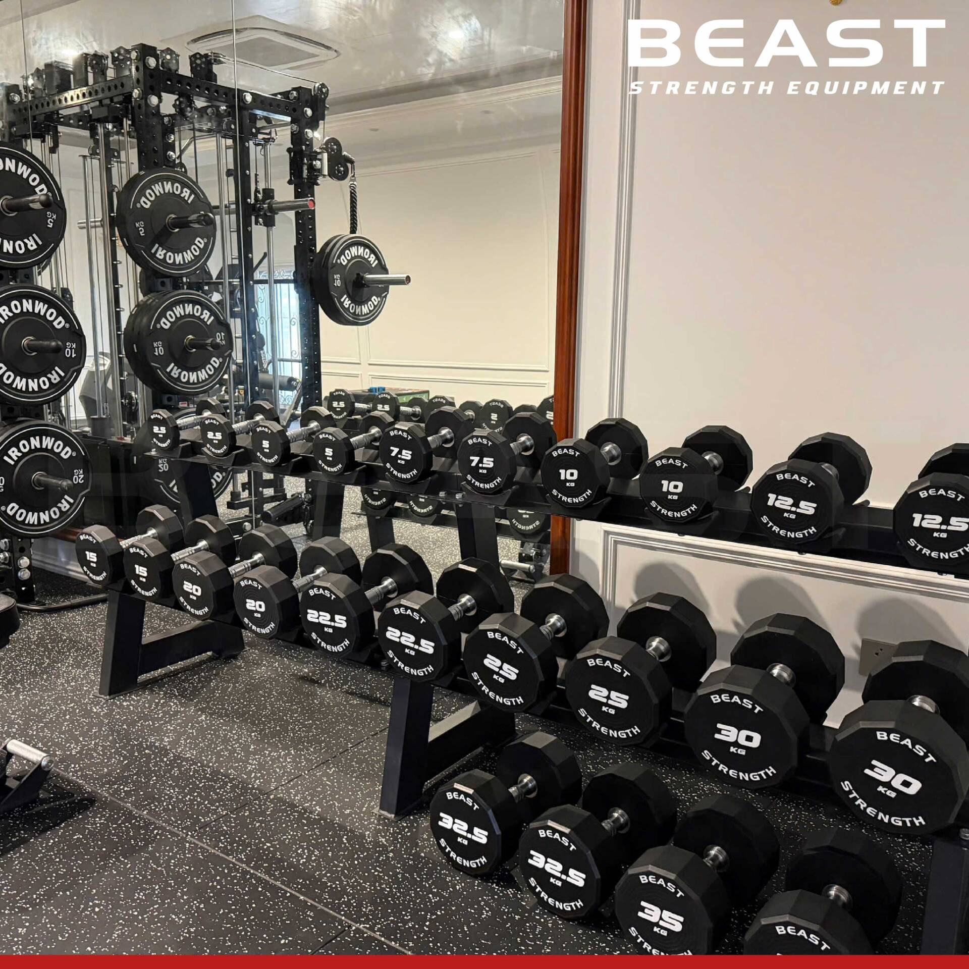 Tạ tay Beast Strength 12 cạnh