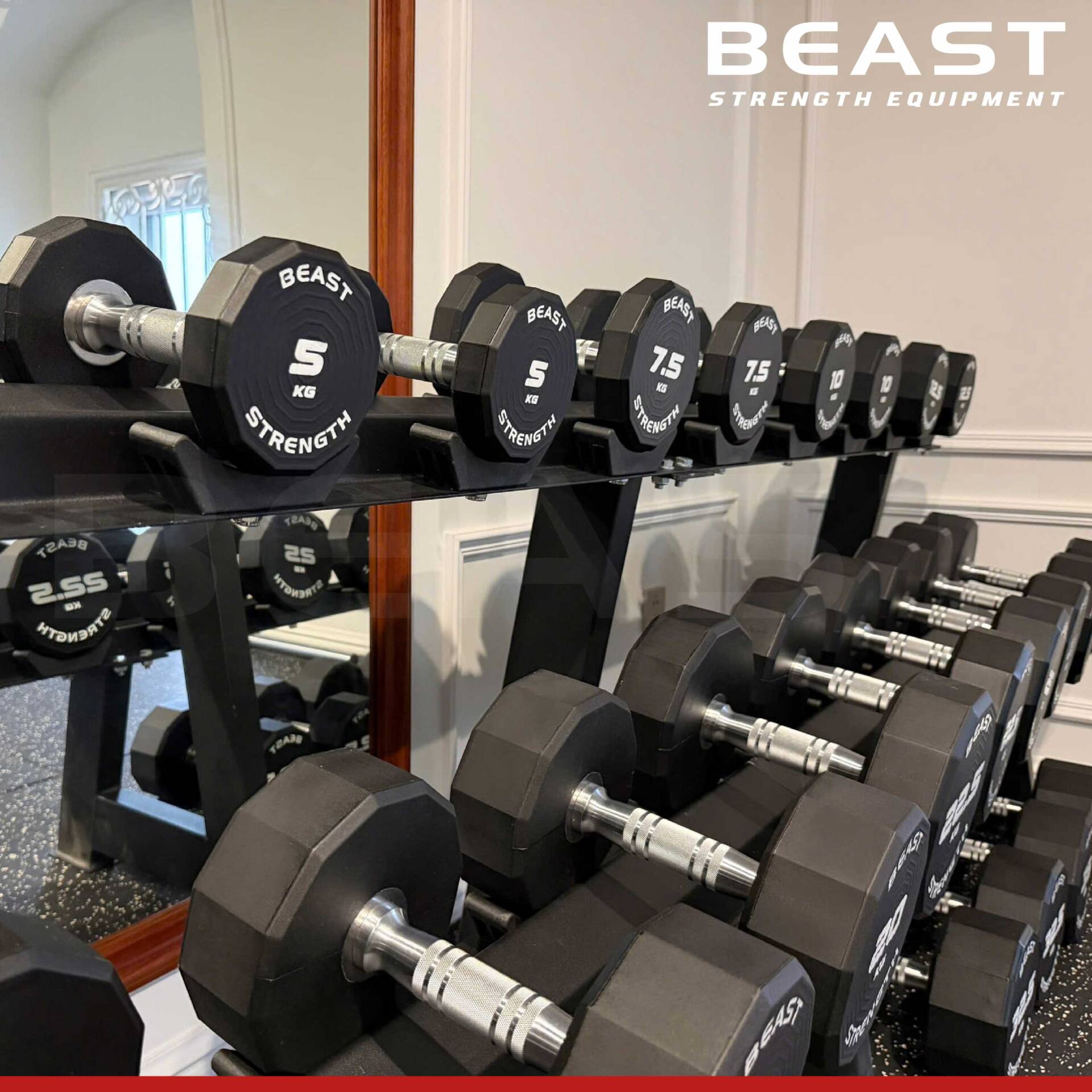Tạ tay Beast Strength 12 cạnh